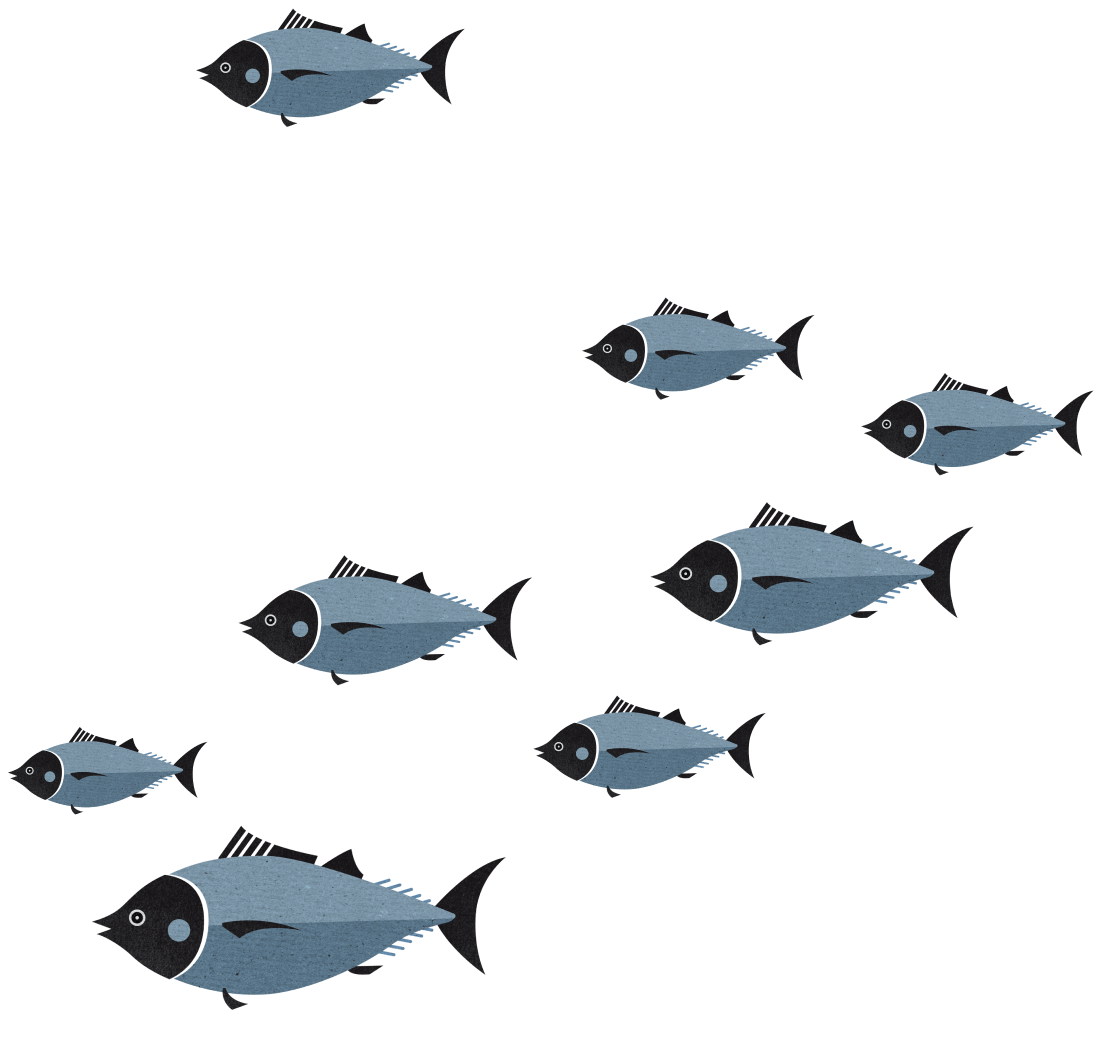 Startseite - followfood